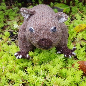 KNITTING PATTERN, Soft Toy, Wombat, Australian Animal, Knitted Wombat ...