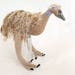 KNITTING PATTERN, Emu, Bird, Softie, Wildlife Toy, Knitted Bird ...