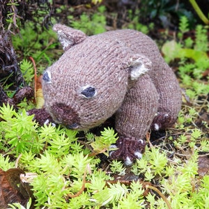 KNITTING PATTERN, Soft Toy, Wombat, Australian Animal, Knitted Wombat ...