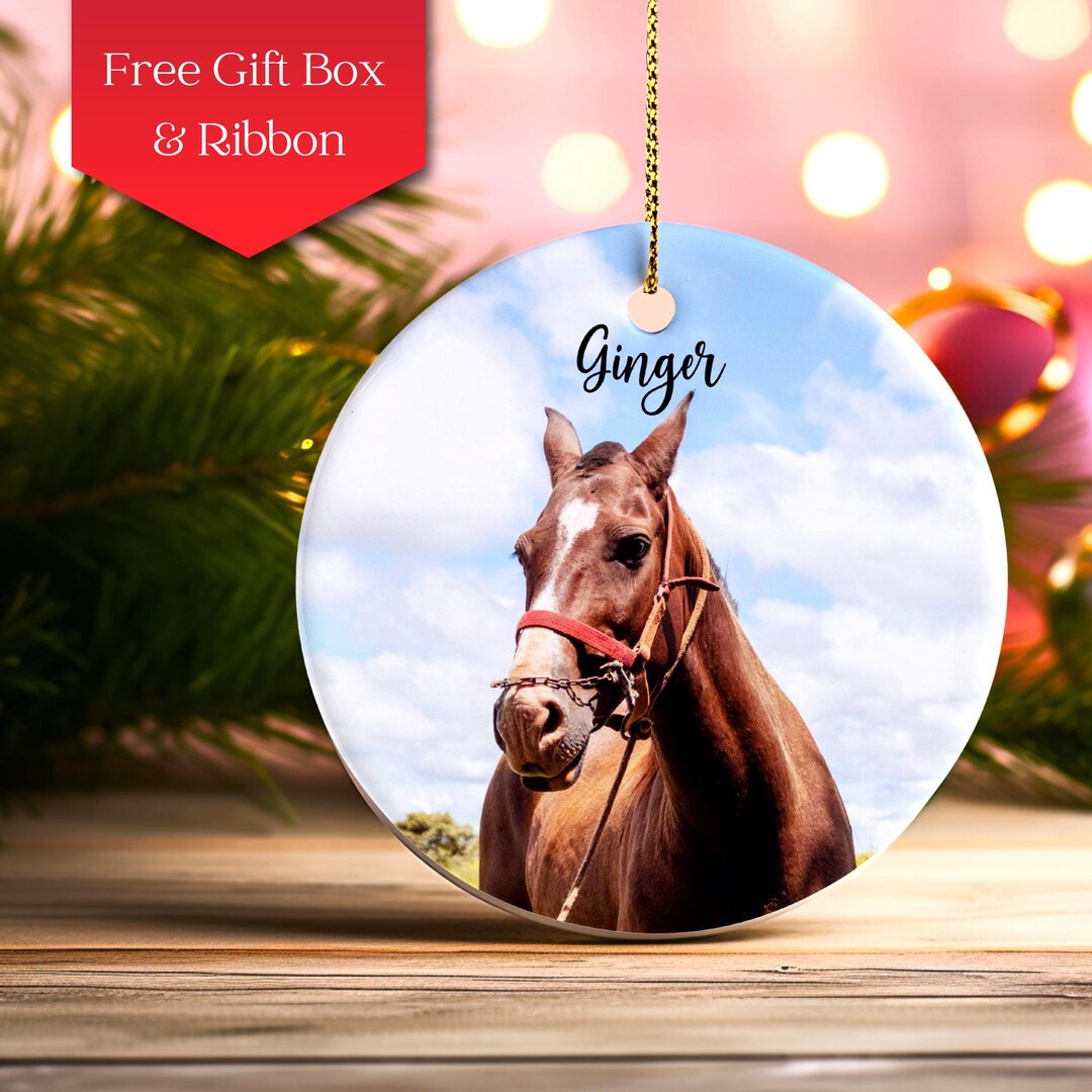 Personalized Horse Photo Gift, Custom Horse Ornament, Gift for Horse ...