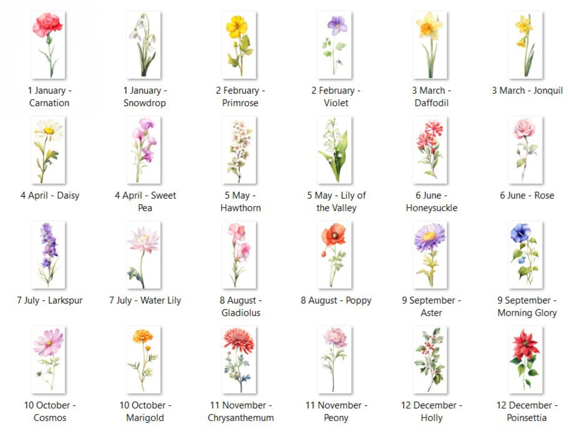 Personalized August Birth Flower 20oz Skinny Tumbler, Custom Gladiolus ...