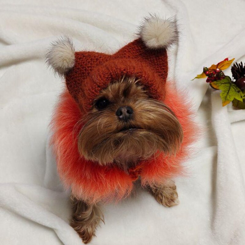 Hats for Dogs - Etsy