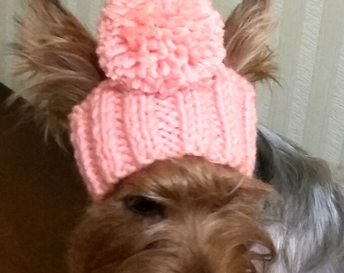 Small Dog Hat Small Dog Headband Dog Overalls Covers Dog - Etsy