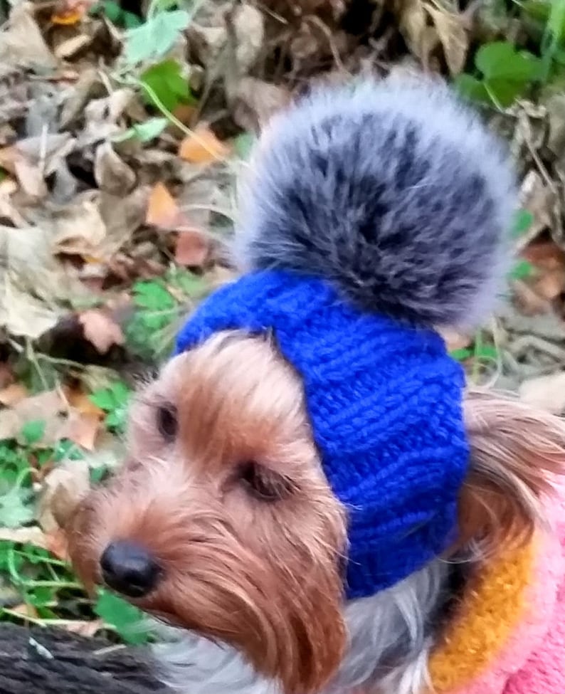 Hat Dog PATTERN Pet Dog Pattern Dog Hat Clothes Pet Hats | Etsy