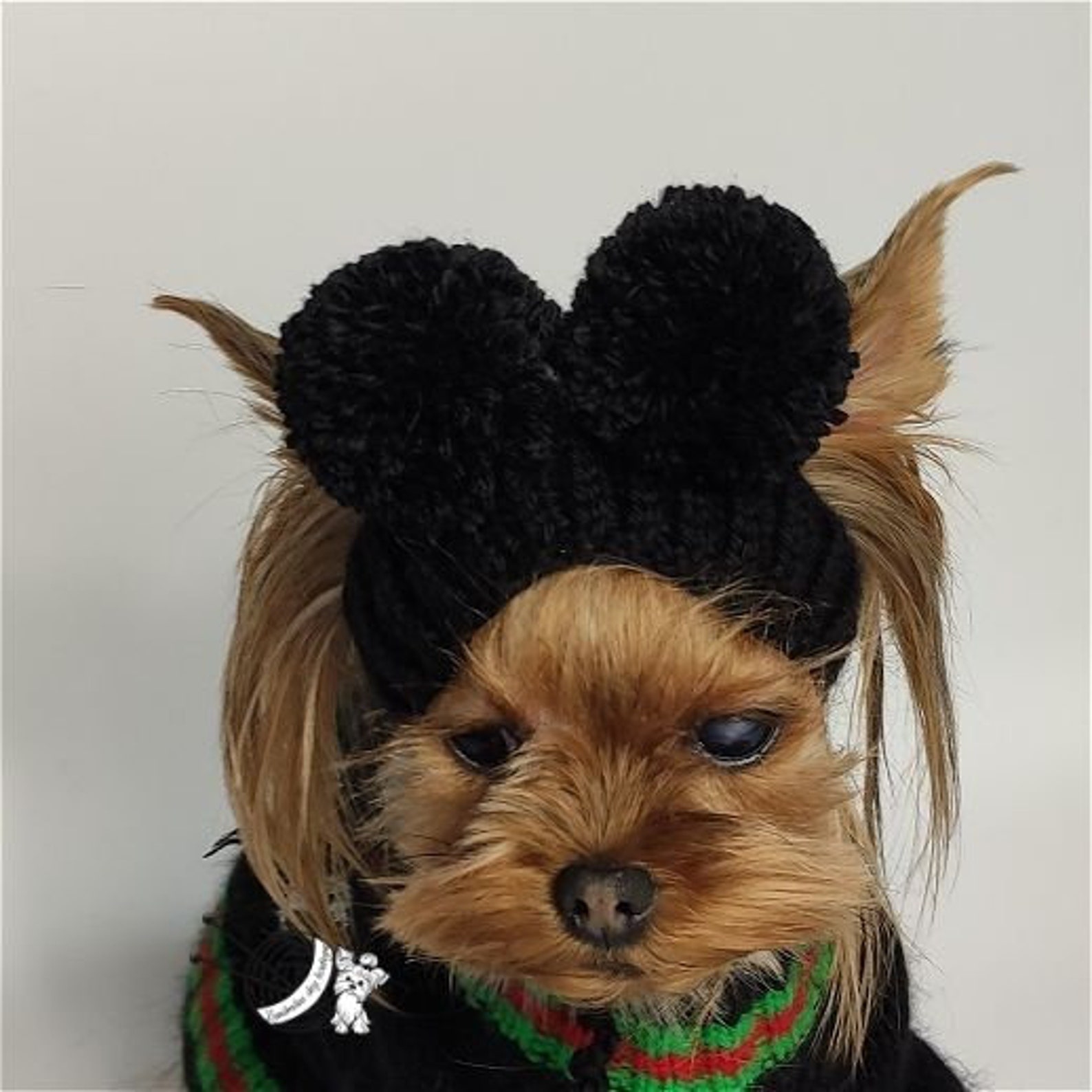 Warm Hat for Dog With Pompom Small Dog Hat Knitted Dog Hat - Etsy