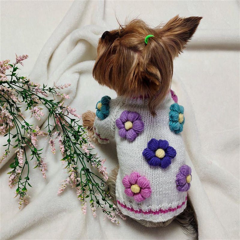 Designer Dog Clothes - Etsy