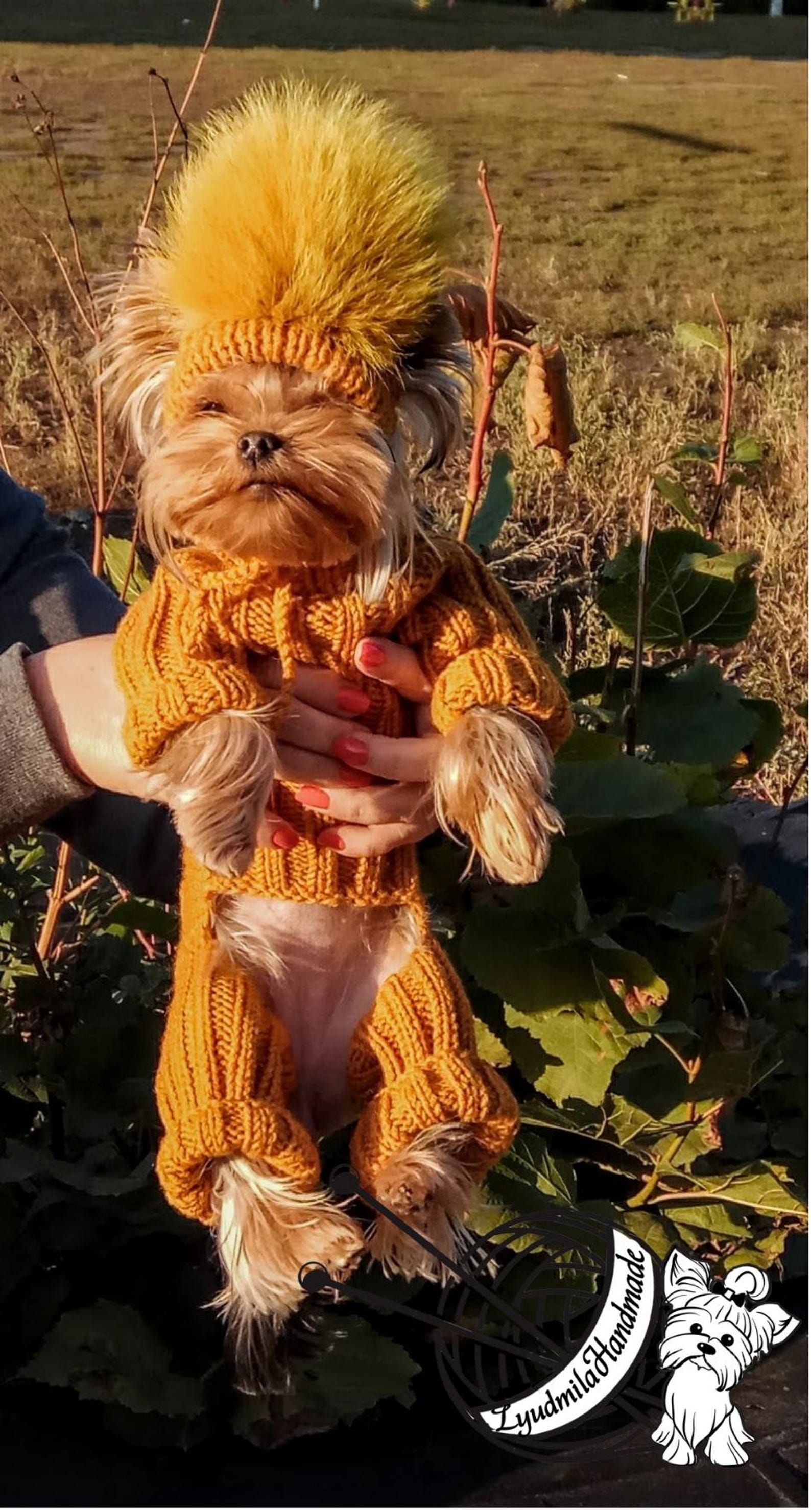 Merino Dog Jumpsuit for Small Dogs, Knit Dog Sweater Suit for Yorkie ...