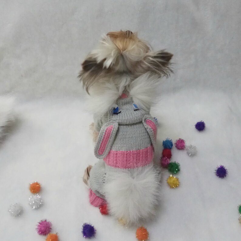Knitted dog costume hand knit dog clothes yorkie puppy | Etsy
