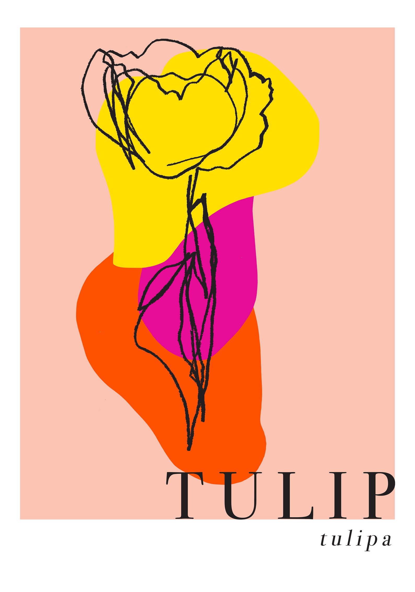 Tulip Print // Abstract Floral Print // Abstract Tulip // - Etsy