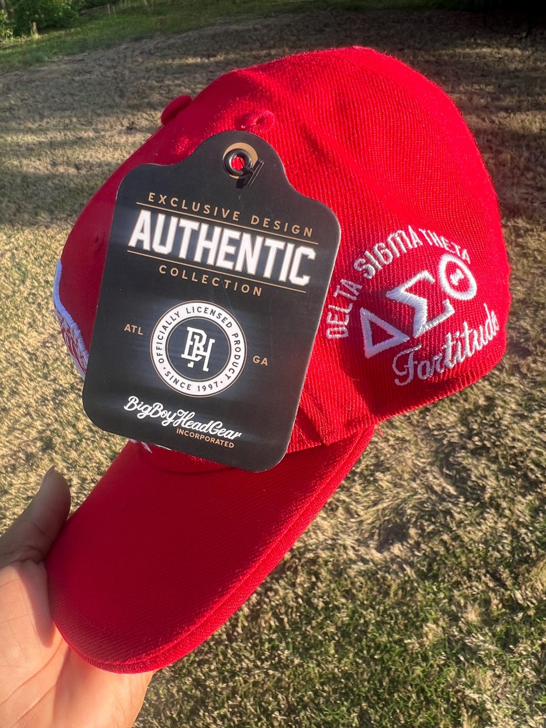 Delta Sigma Theta, Red Hat, DST, 1913, Baseball Hat - Etsy