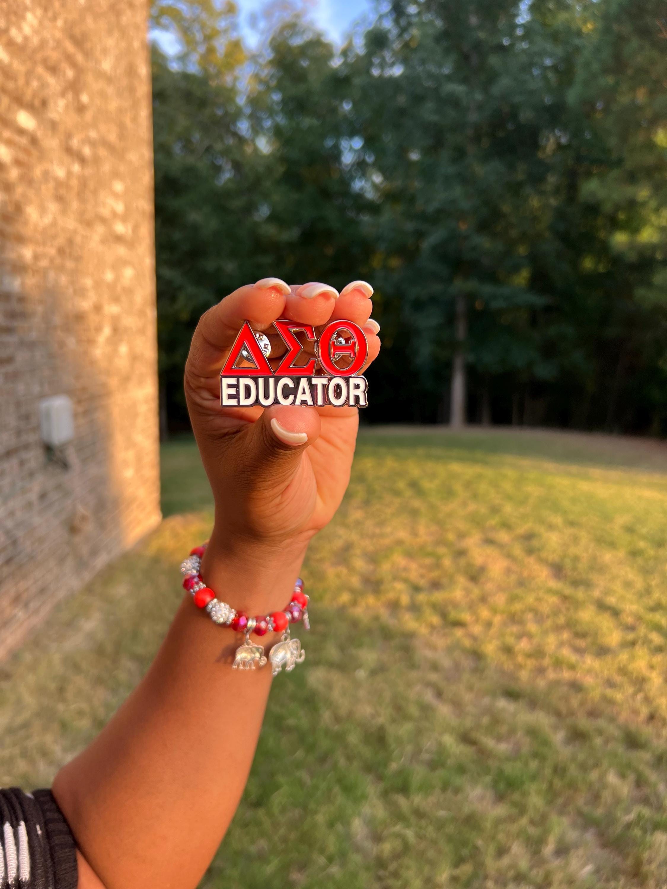 Delta Sigma Theta, Educator Lapel Pin, Therapist, Nurse, Social Worker ...
