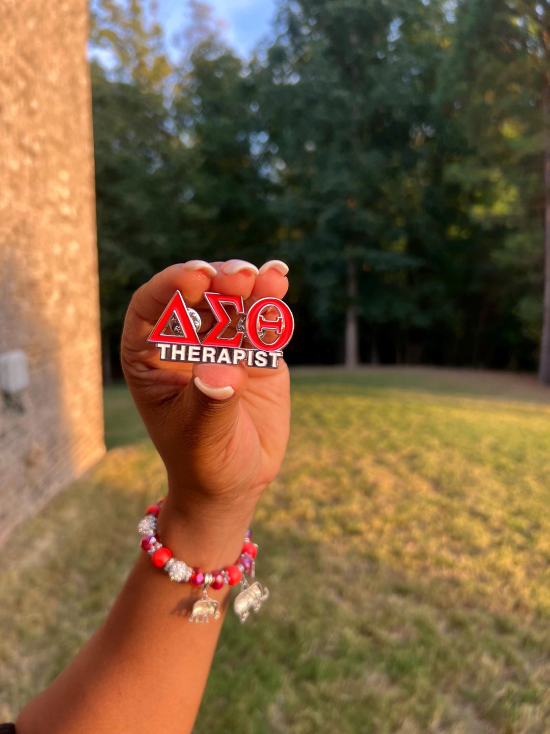 Delta Sigma Theta, Educator Lapel Pin, Therapist, Nurse, Social Worker ...
