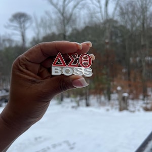 Delta Sigma Theta, Educator Lapel Pin, Therapist, Nurse, Social Worker ...