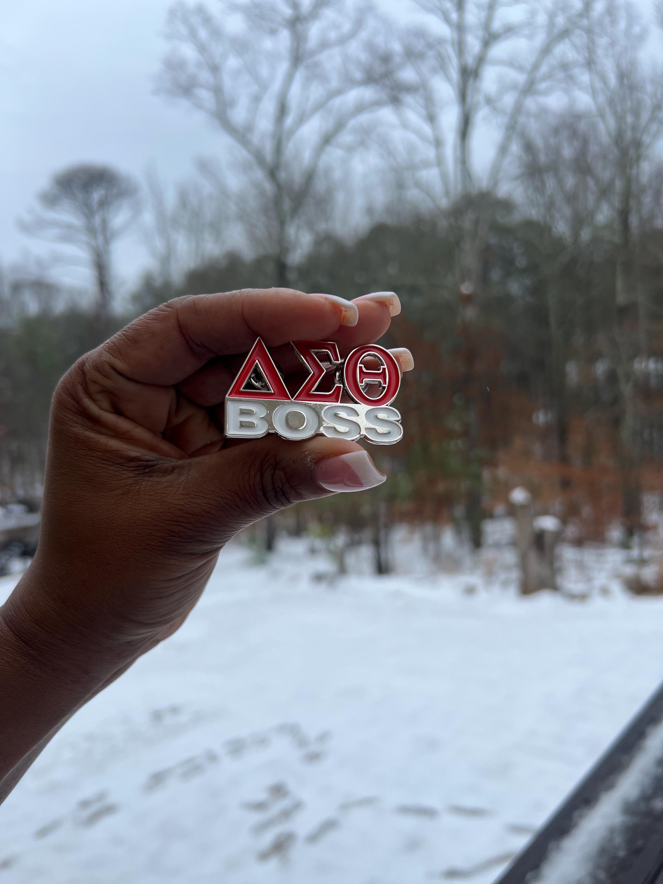 Delta Sigma Theta, Educator Lapel Pin, Therapist, Nurse, Social Worker ...