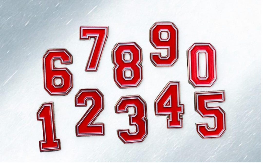 Red and White Number Lapel Pins Line Numbers, Delta Sigma Theta DST - Etsy