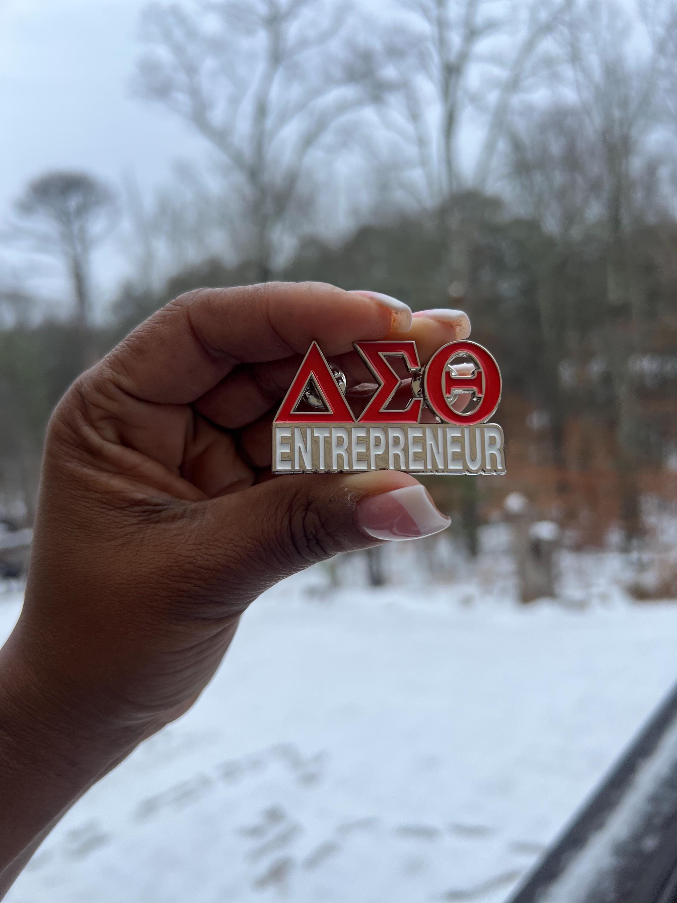 Delta Sigma Theta, Educator Lapel Pin, Therapist, Nurse, Social Worker ...