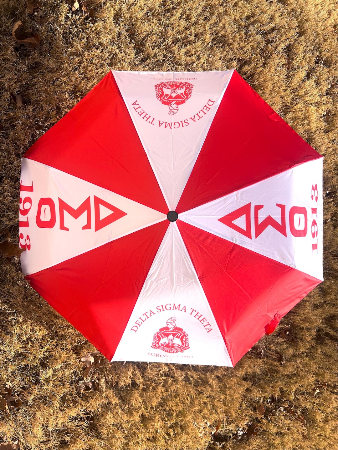 Delta Sigma Theta Umbrella - Etsy