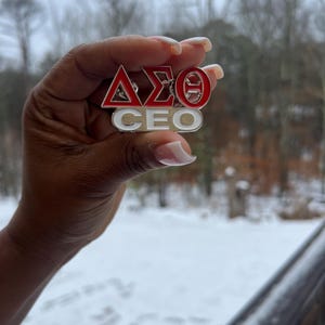 Delta Sigma Theta, Educator Lapel Pin, Therapist, Nurse, Social Worker ...