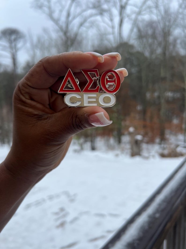 Delta Sigma Theta, Educator Lapel Pin, Therapist, Nurse, Social Worker ...