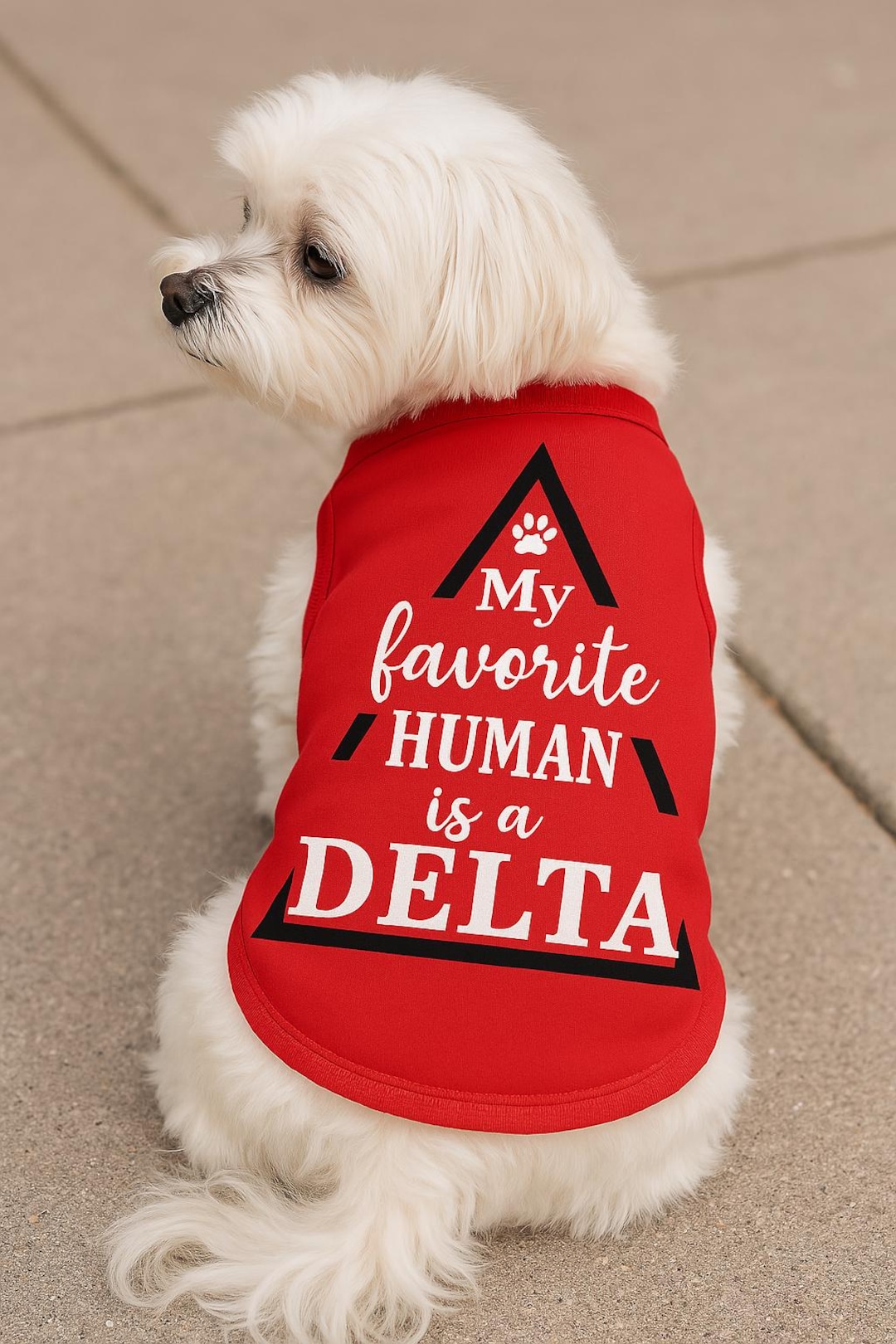 Delta Sigma Theta Dog T-shirt With Paw Print and Pyramid, Custom Shirt ...