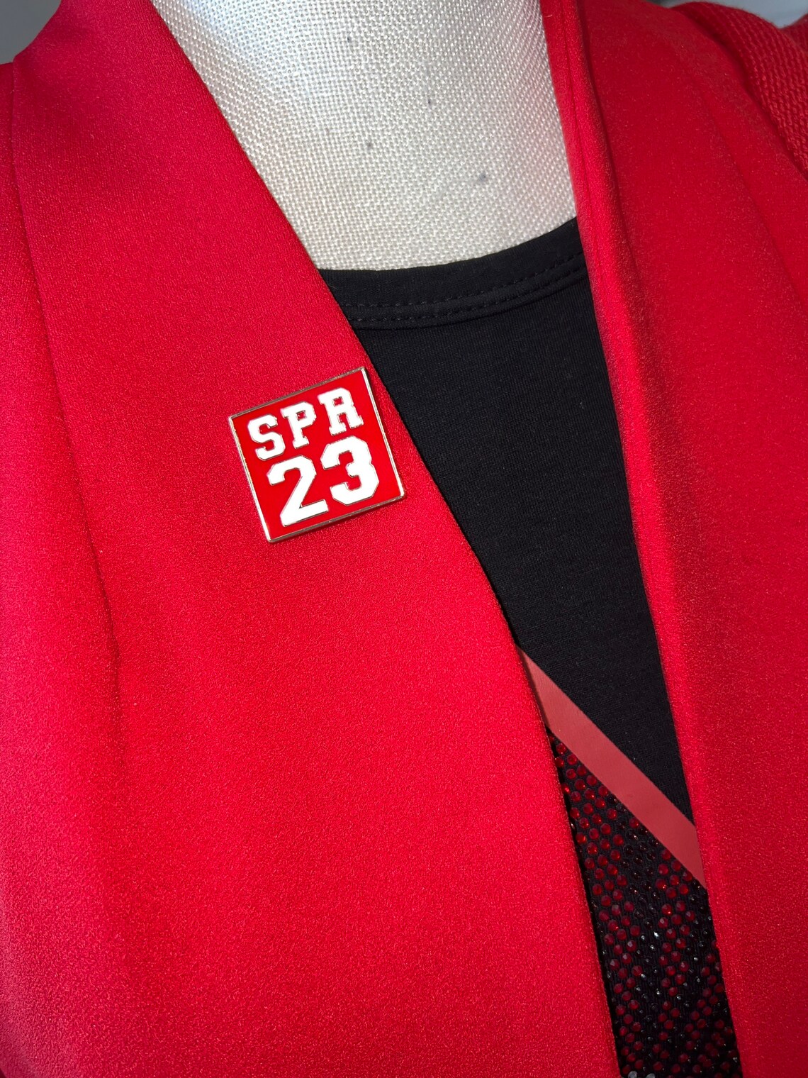 Spring 23 Delta Sigma Theta Pin Crossing Gift. DST - Etsy