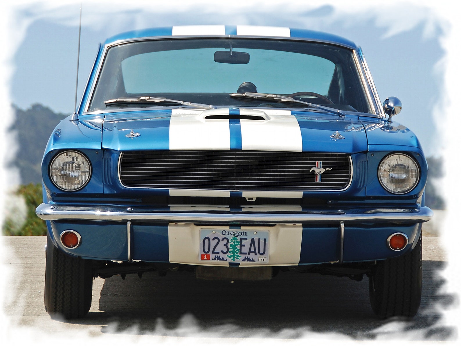 Car Mustang Mouse Pad 1965 SHELBY GT Mustang FRONT View Picture on ...