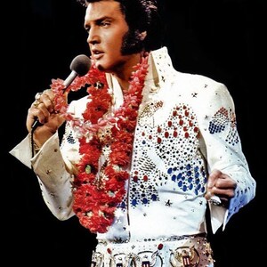 Mouse Pad Elvis Live in Hawaii Picture Art Computer Desktop Supplies - Etsy