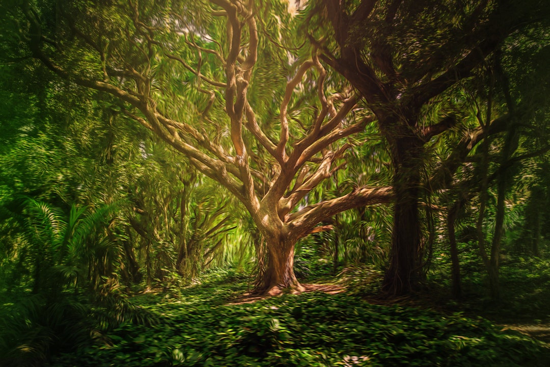 Mouse Pad of the Tree of Life in the Forest Computer Desktop Supplies ...
