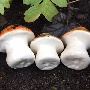 Fairy Mushrooms -fabulous Fungi. Three Hand Crafted Ceramic Toadstools ...