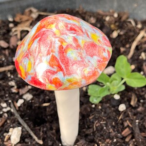 Five Fabulous Fungi Handmade by Fabulousfungi. 2 Large, 2 Medium, & 1 ...