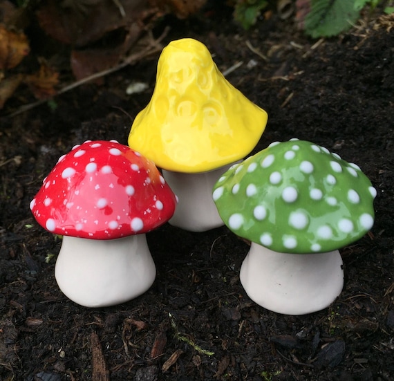 Fairy Toadstools