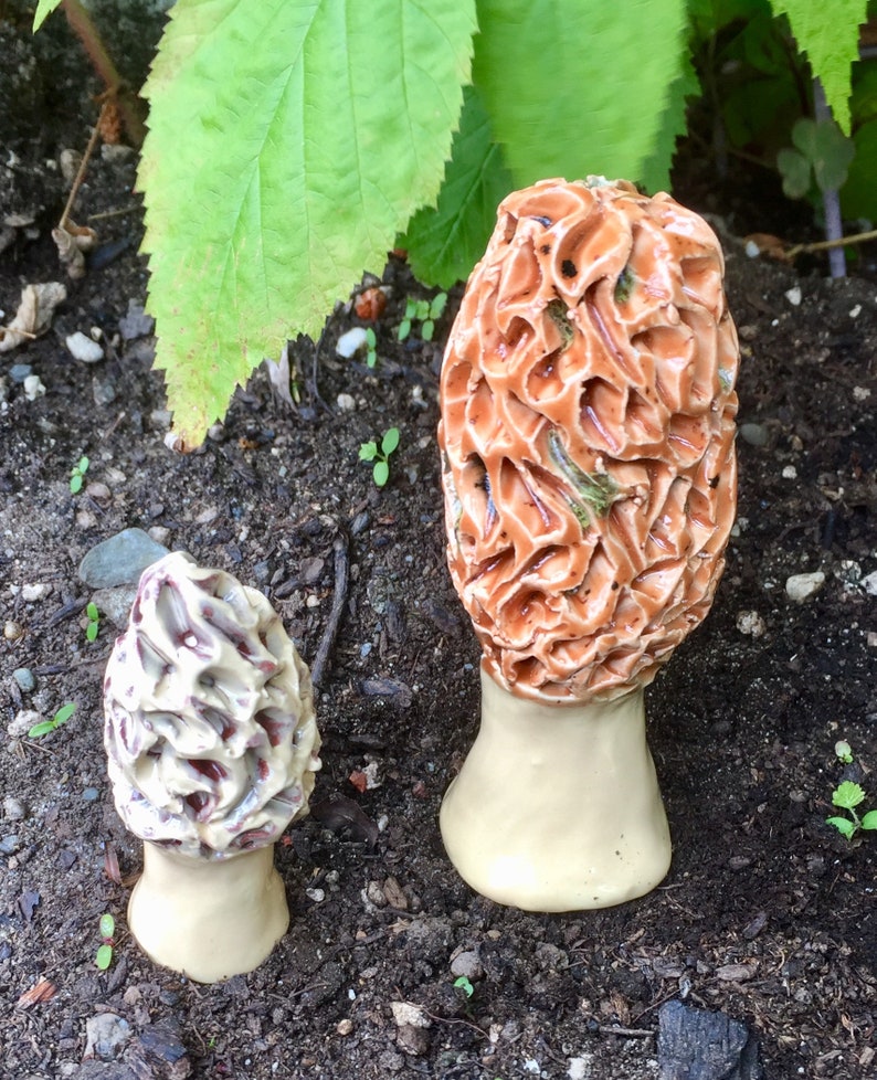 Handmade ceramic Morel mushrooms. Garden art Fabulous fungi | Etsy
