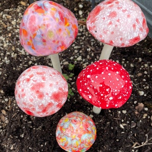 Five Fabulous Fungi Handmade by Fabulousfungi. 2 Large, 2 Medium, & 1 ...