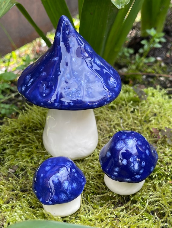 Hermosos Hongos Hongos Y Musgo, Hermosos Hongos En El Suelo Del