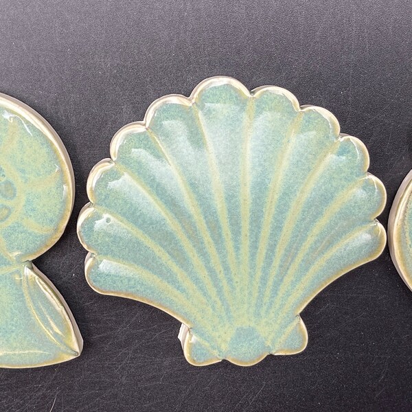 Sea Shell Tiles - Etsy