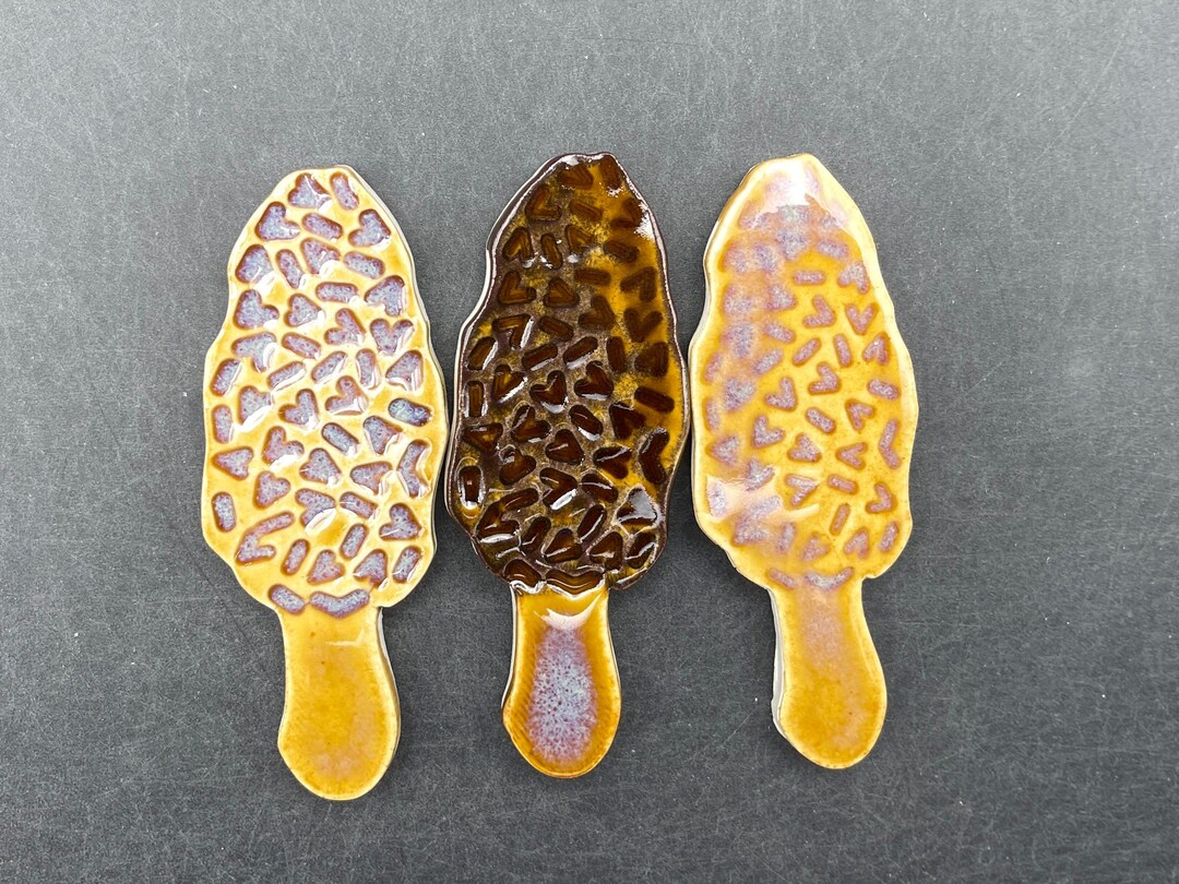 Morel Ceramic Mosaic Tile. Morel Mushroom Tiles, Ceramic Mosaic Morel ...