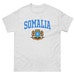 SOMALIA National Crest T-shirt - for Somali Pride and Culture ...