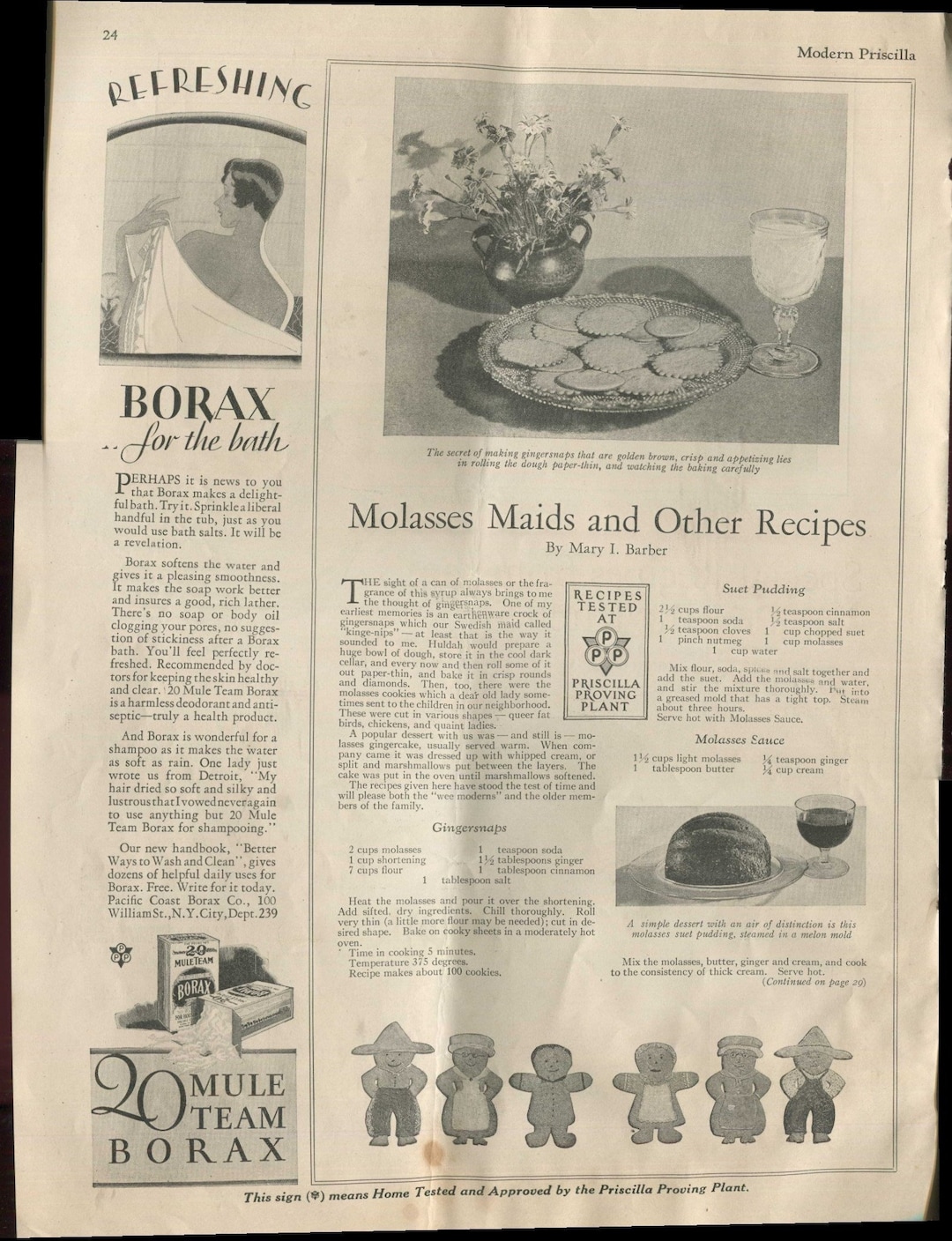 Refreshing Borax for the Bath Use Just as You Would Bath Salts 20 Mule ...