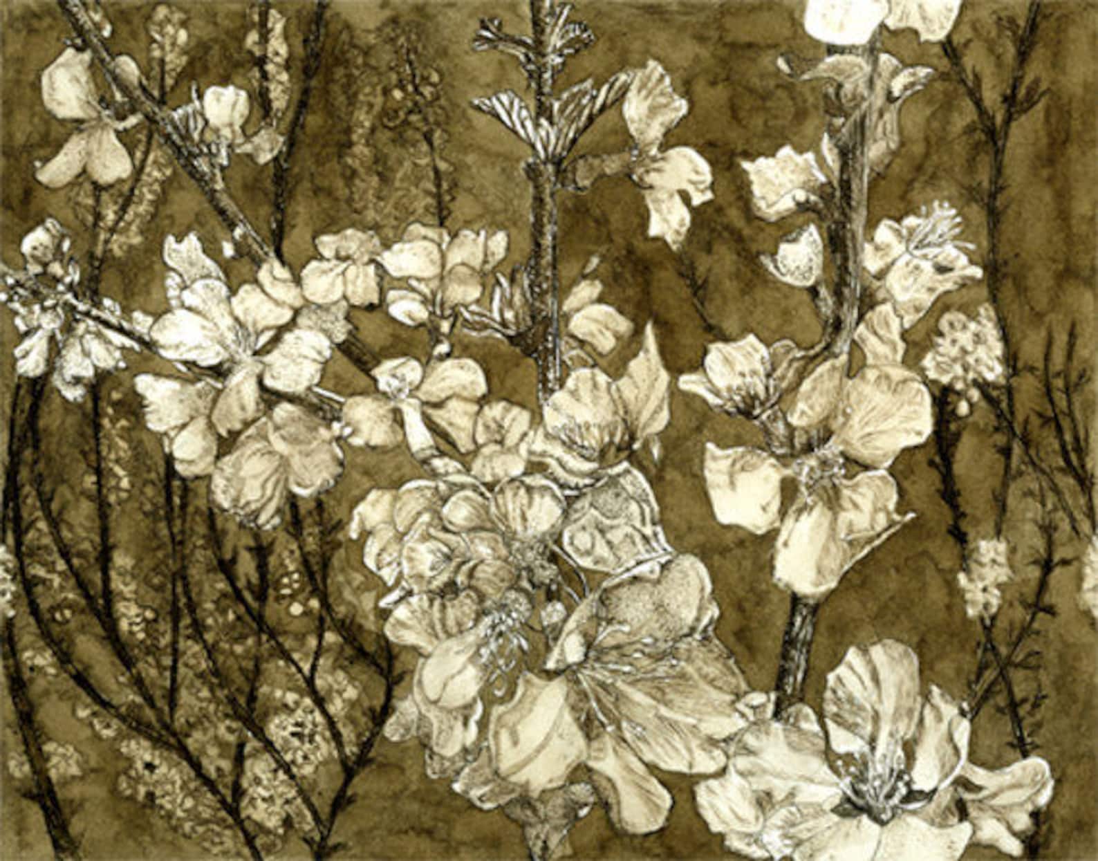 Artisan Black Walnut Drawing Ink, Small 1.5 Oz or Large, 4 Oz. Luminous ...