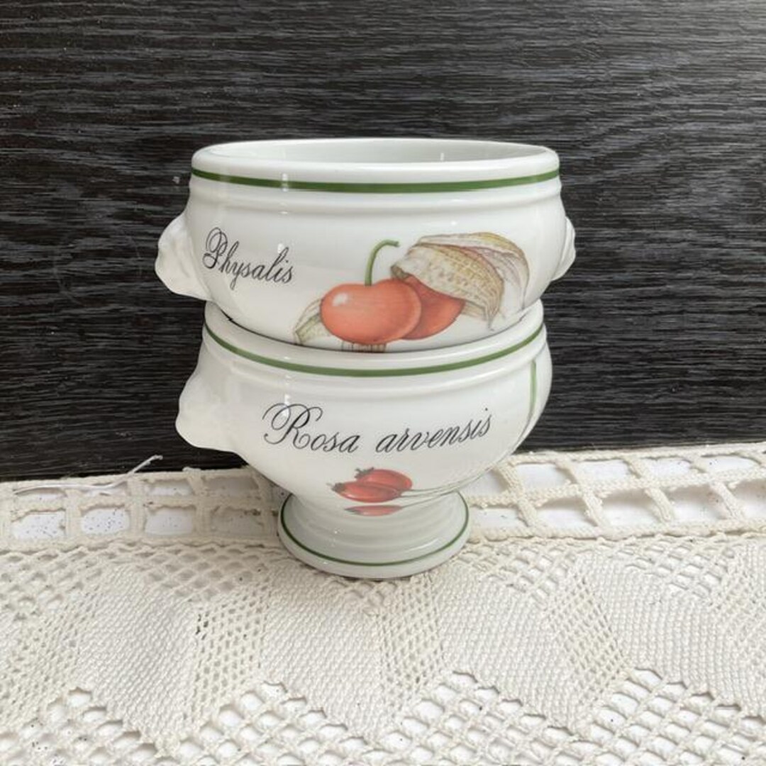 Apilco Elysian Garden Soup Bowls: Porcelain Pedestal Bowls With Lion ...
