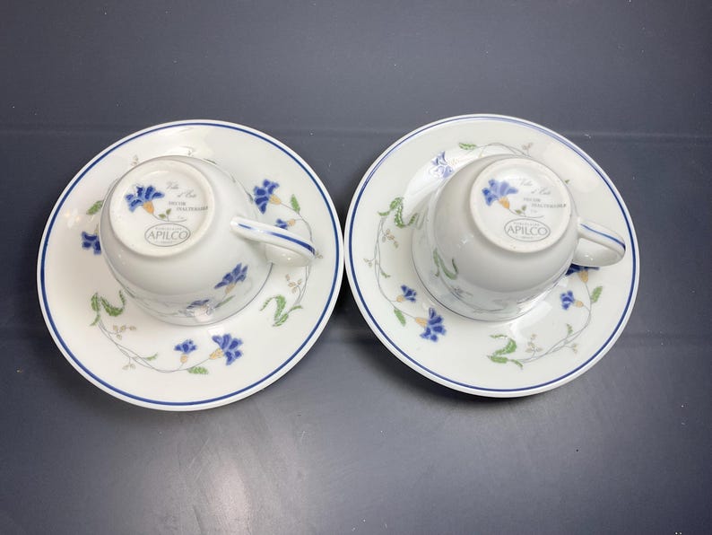 Apilco Villa D’este Collection Porcelain Espresso Cups and Saucers: Set ...