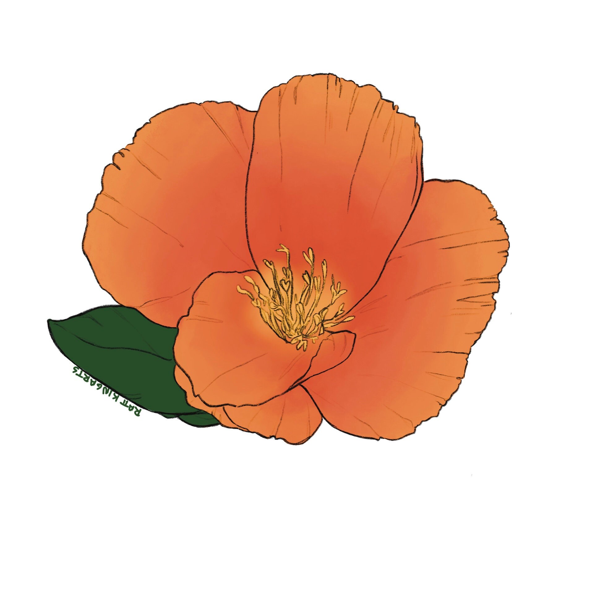 California Poppy Vinyl Sticker - Etsy