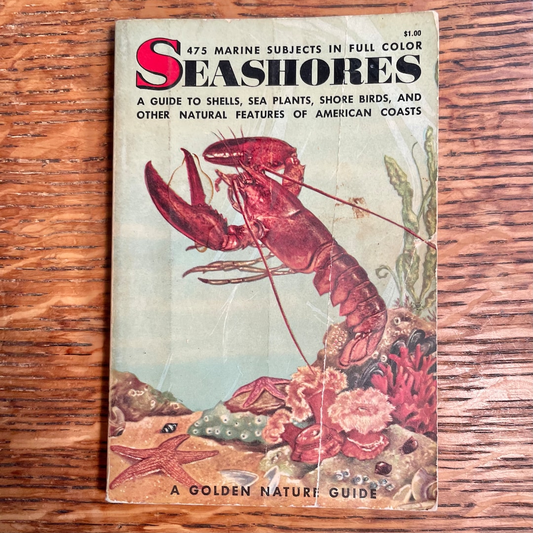 Vintage 1955 Golden Nature Guide seashores - Etsy