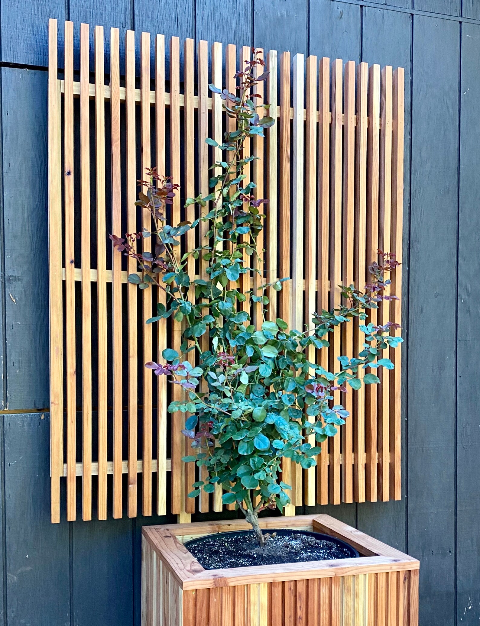 Mid-century Modern Trellis for Privacy Screen Custom Sizes, Hardwood ...