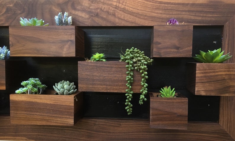 Indoor Succulent Wall Planter - Plant Ideas
