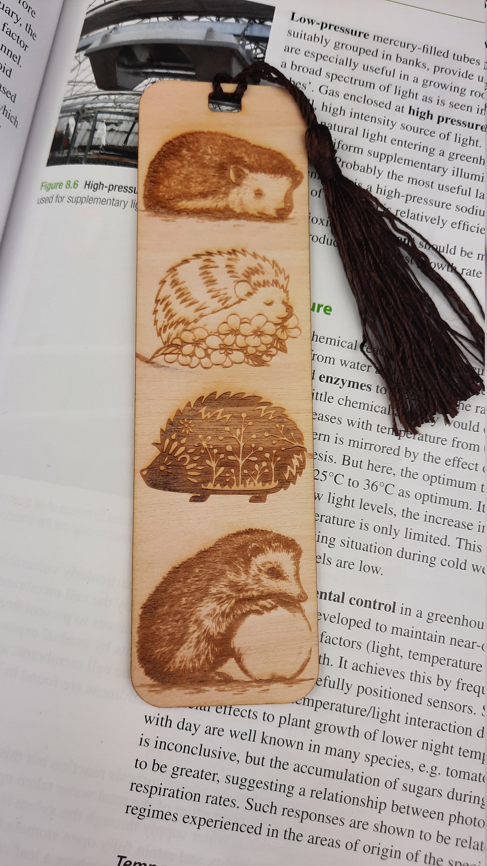 Hedgehog Laser Engraved Wooden Bookmark - Etsy