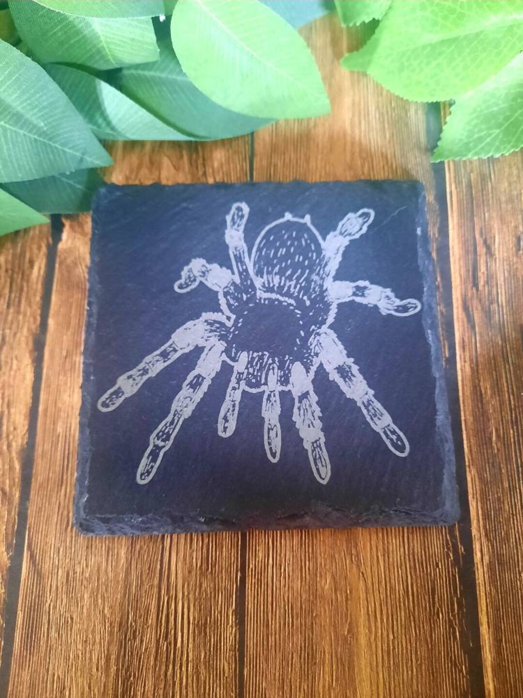 Tarantula, Spider - Engraved Slate Coaster - Etsy
