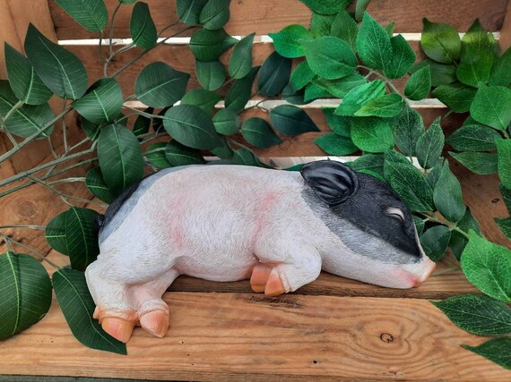 Sleepy Piglet