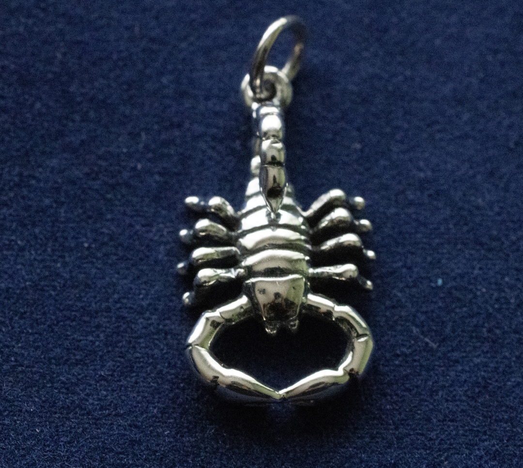 925 Sterling Silver Scorpion Charm - Etsy