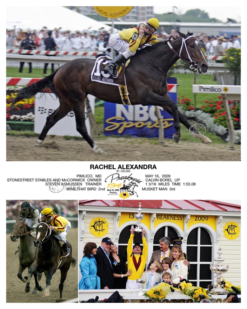Rachel Alexandra Preakness Stakes 10 X 8 Composite Photo - Etsy